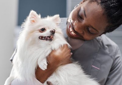 Texas - Hub Veterinary Group